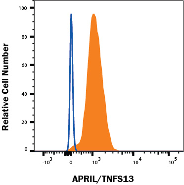 Human APRIL/TNFSF13 Antibody (AF884) | Bio-Techne