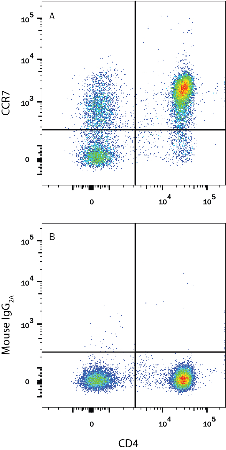 Human CCR7 Antibody (MAB197) | Bio-Techne