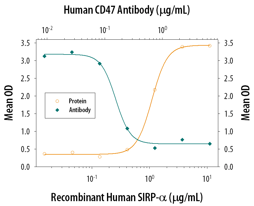 Human CD47 Antibody (AF4670) | Bio-Techne