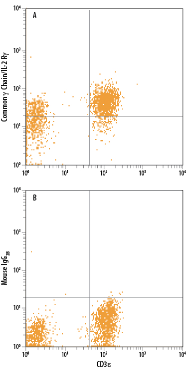 Human Common gamma Chain/IL‑2 R gamma PE‑conjugated Antibody (FAB2842P ...