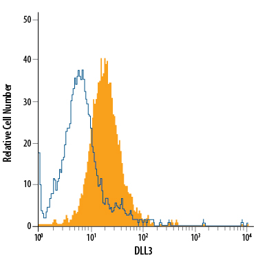 Human DLL3 PE‑conjugated Antibody (FAB4315P) | Bio-Techne