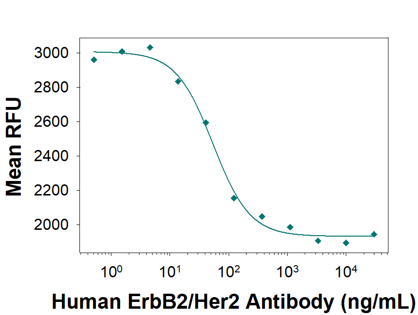 Human ErbB2/Her2 (Research Grade Trastuzumab Biosimilar) Antibody (MAB9589) | Bio-Techne