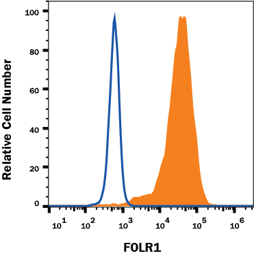 Human FOLR1 Antibody (MAB5646) | Bio-Techne