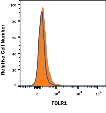 Human FOLR1 Antibody (MAB5646) | Bio-Techne