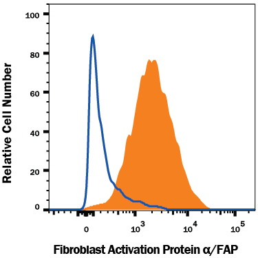 Human Fibroblast Activation Protein alpha/FAP PE‑conjugated Antibody ...