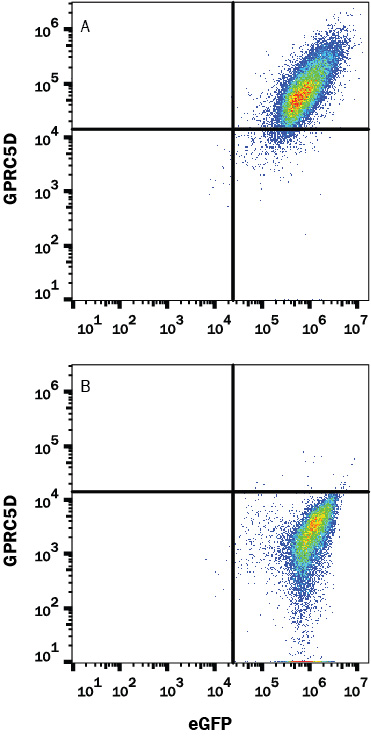 Human GPRC5D PE‑conjugated Antibody (FAB6300RP) | Bio-Techne