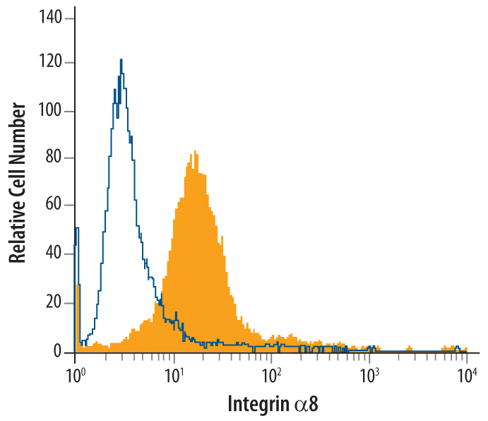 Human Integrin alpha8 Antibody (MAB6194) | Bio-Techne