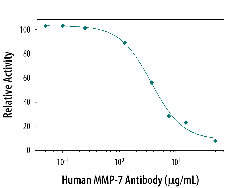 Human MMP‑7 Antibody (AF907) | Bio-Techne