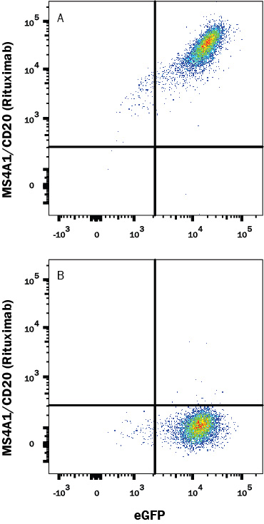 Human CD20 (Research Grade Rituximab Biosimilar) Biotinylated Antibody ...