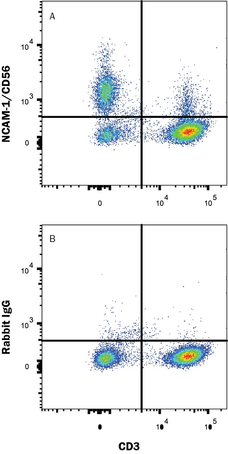 Human NCAM‑1/CD56 Alexa Fluor® 488‑conjugated Antibody (FAB24086G ...