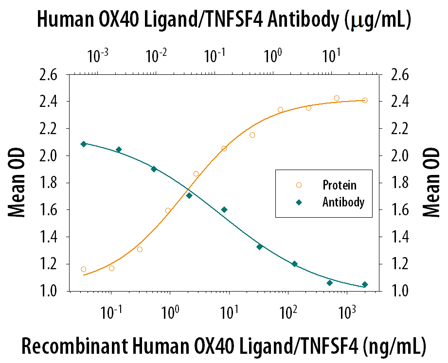 Human OX40 Ligand/TNFSF4 Antibody (MAB10541) | Bio-Techne