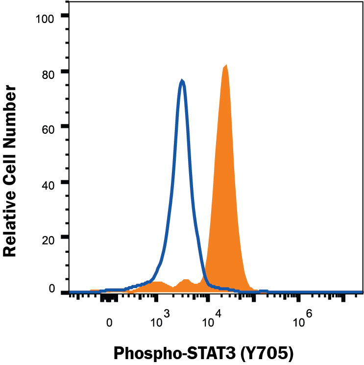 Human Phospho-STAT3 (Y705) Antibody (MAB46071) | Bio-Techne