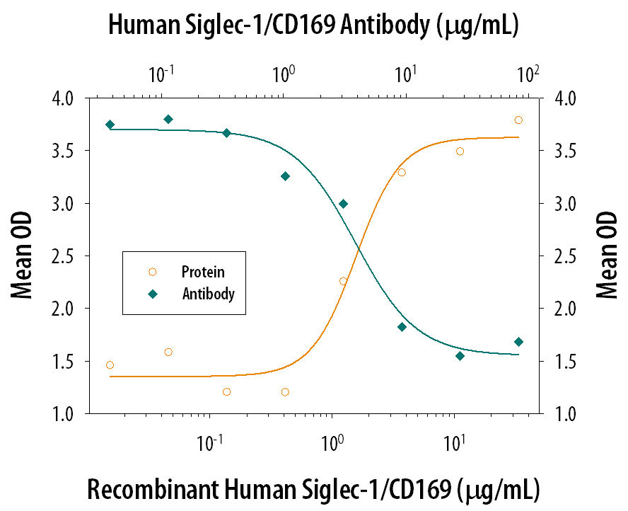 Human Siglec‑1/CD169 Antibody (AF5197) | Bio-Techne