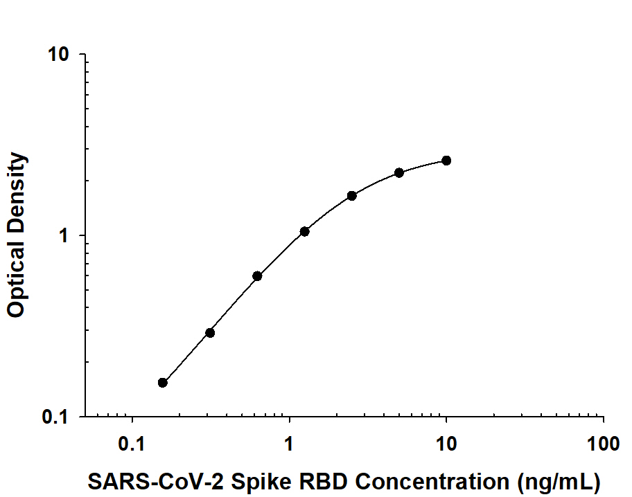 SARS-CoV-2 Spike RBD Antibody (MAB105806) | Bio-Techne