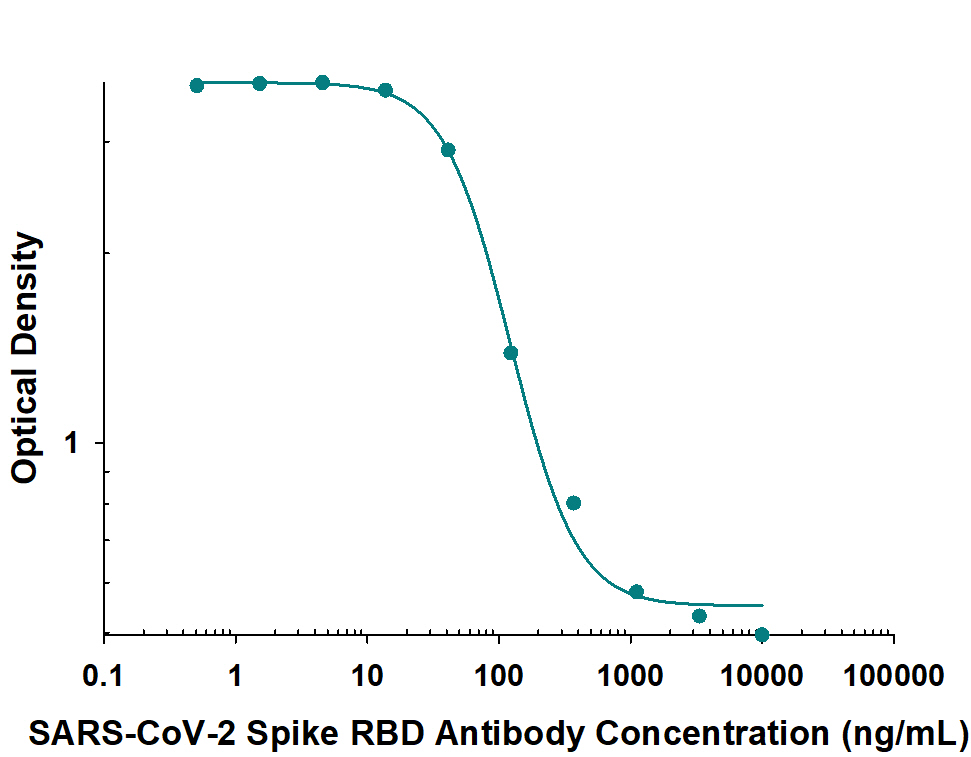 SARS-CoV-2 Spike RBD Antibody (MAB11294) | Bio-Techne