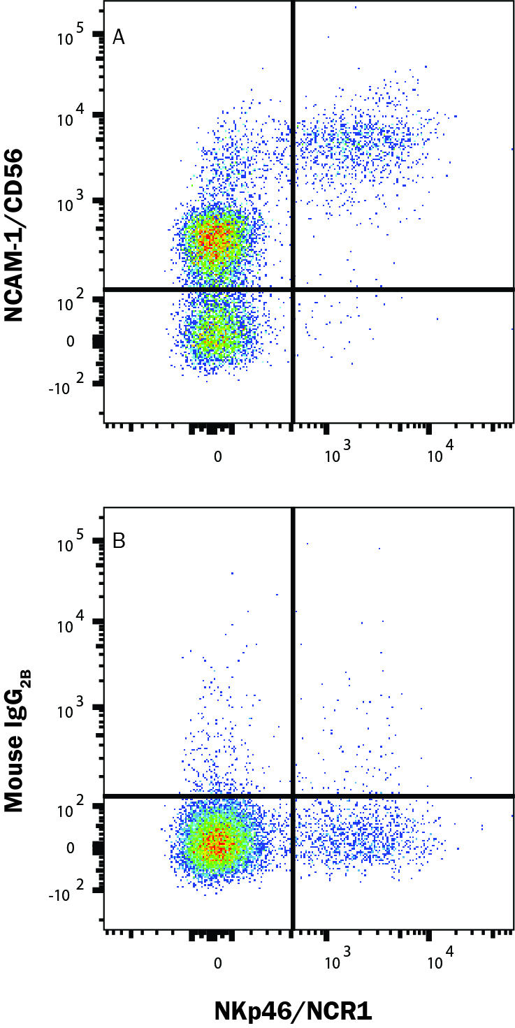 Human NCAM‑1/CD56 Antibody (MAB24081) | Bio-Techne