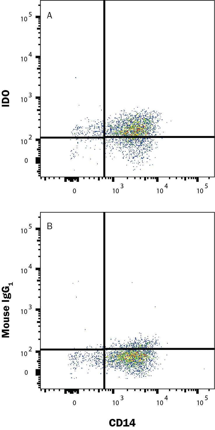 Human Indoleamine 2,3‑dioxygenase/IDO Alexa Fluor® 488‑conjugated ...